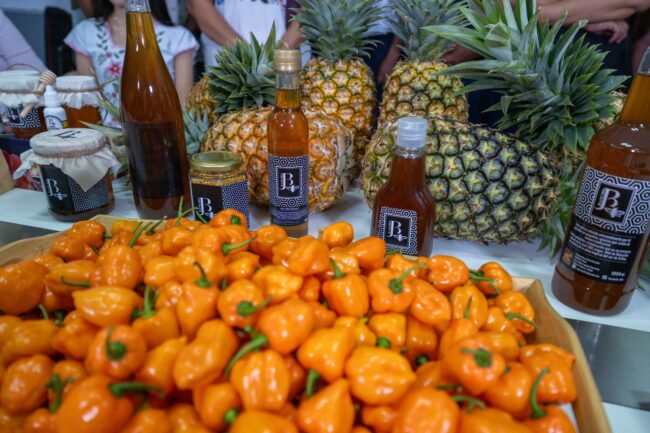 Piña, chile habanero, pitahaya, hojas gourmet y hortalizas de Quintana ...